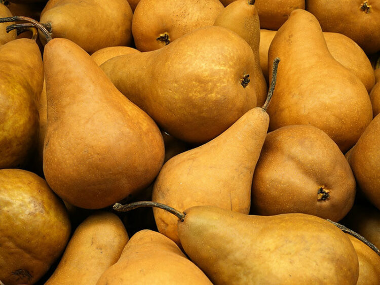 21 Common and Exotic Brown Fruits: A Full List