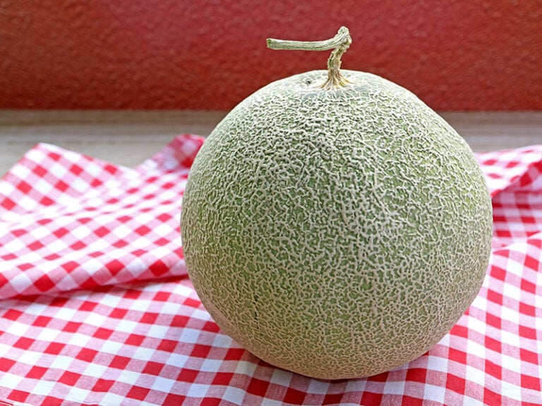 24 Foods That Are Gray with Distinct Taste and Natural Colors