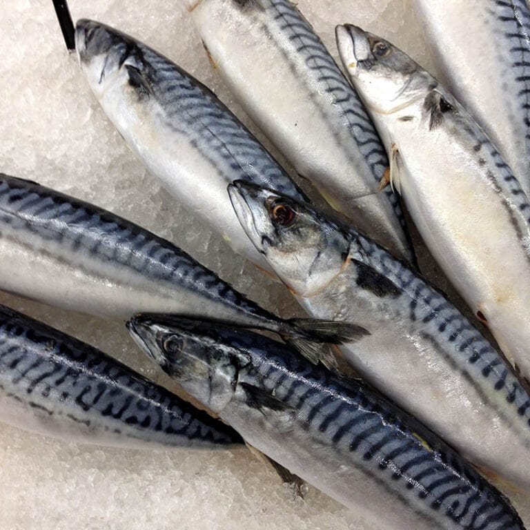 24 Foods That Are Gray with Distinct Taste and Natural Colors