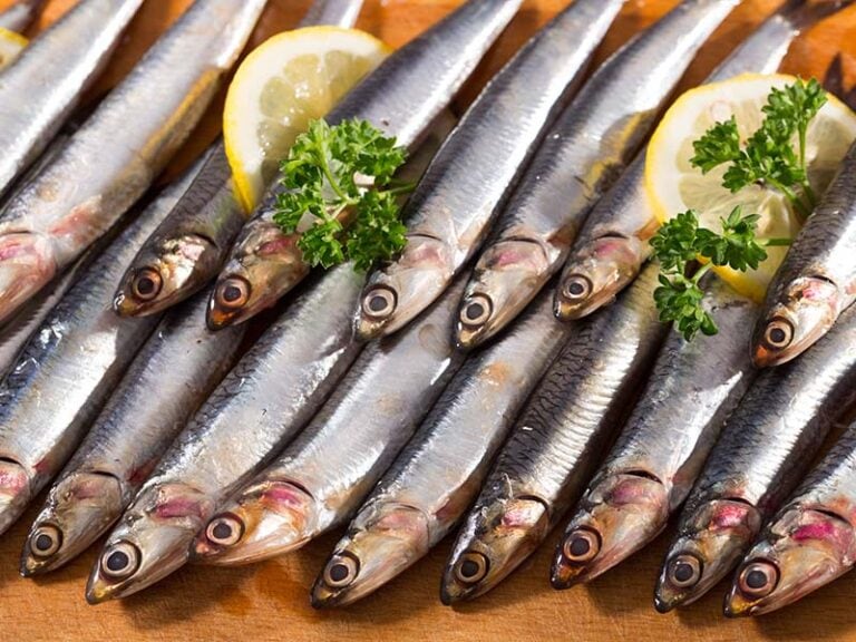 24 Foods That Are Gray with Distinct Taste and Natural Colors