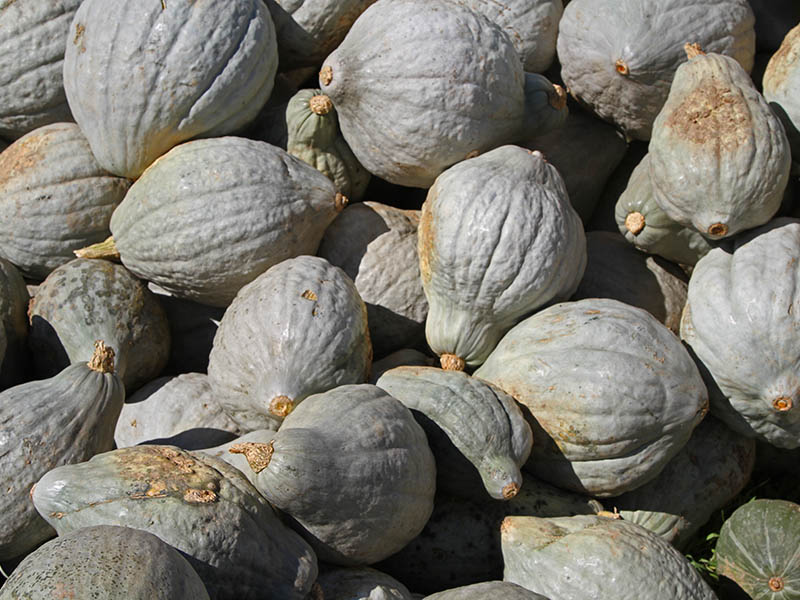 10 Exciting Gray Fruits with a Bonus Guide to Gray Vegetables