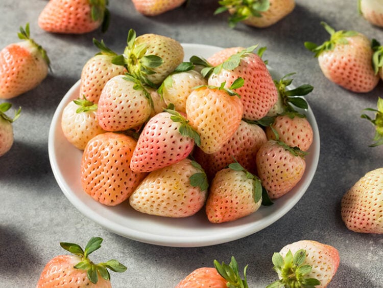 20 Hybrid Fruits and Vegetables for All Meals