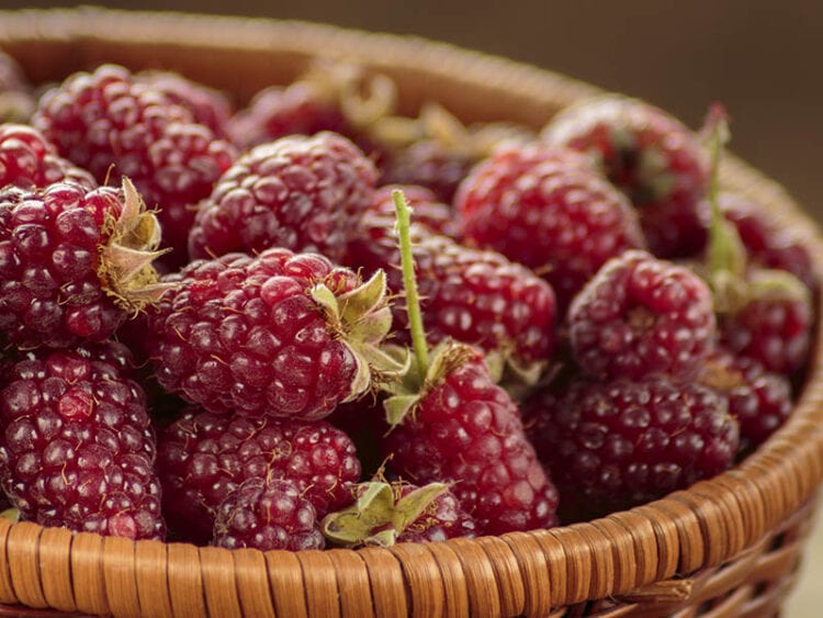 20 Hybrid Fruits and Vegetables for All Meals