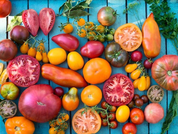 20 Hybrid Fruits and Vegetables for All Meals