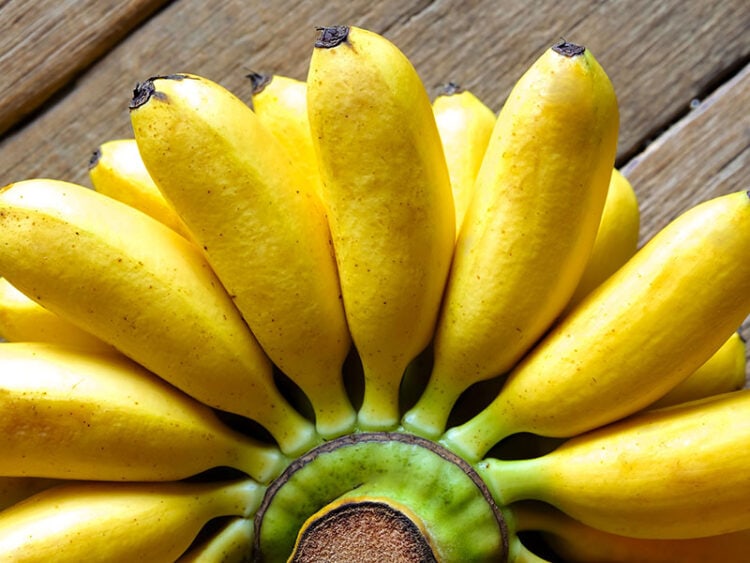 34 Fruits That Start With L: Popular Tropical Delights