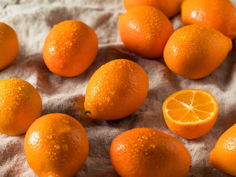 20 Hybrid Fruits and Vegetables for All Meals