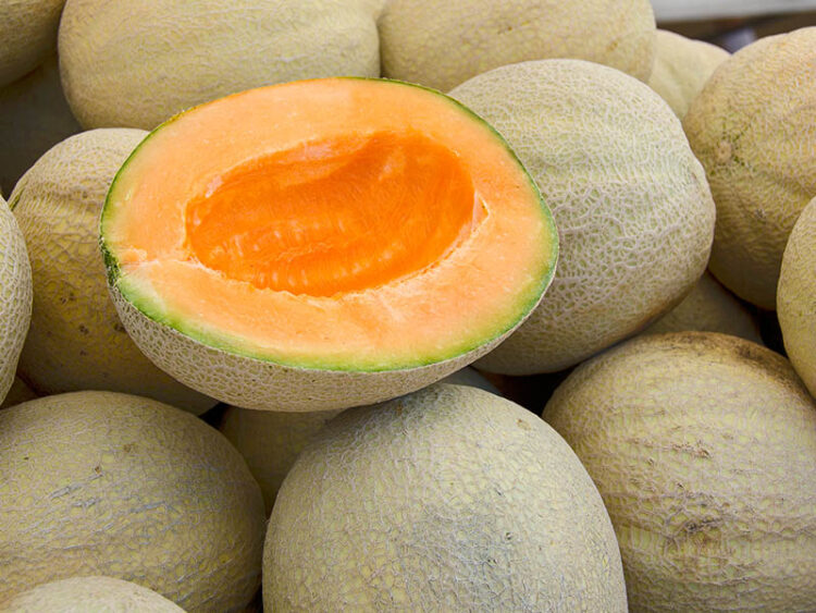 10 Exciting Gray Fruits with a Bonus Guide to Gray Vegetables