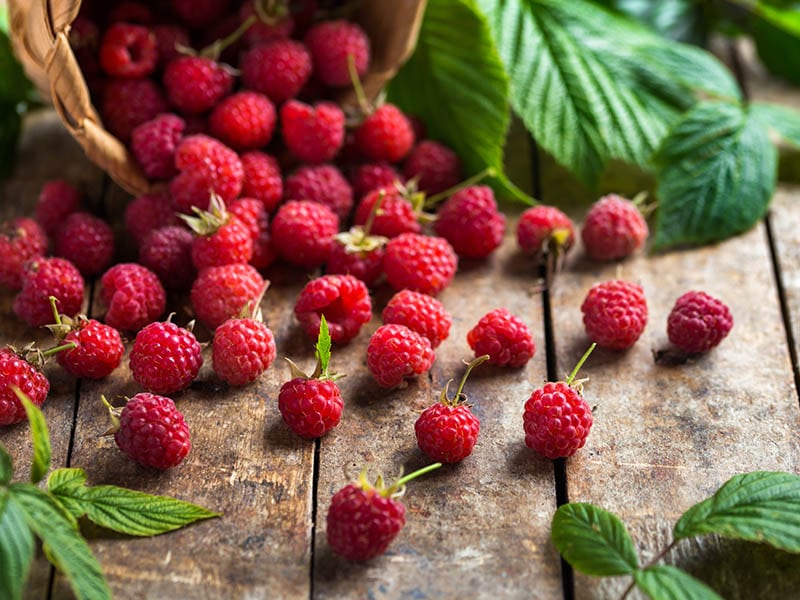 29 Best Red Fruits of All Types with Images