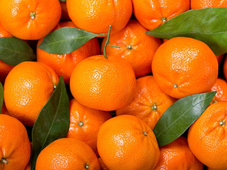 21 Popular Orange Fruits for a Burst of Flavor
