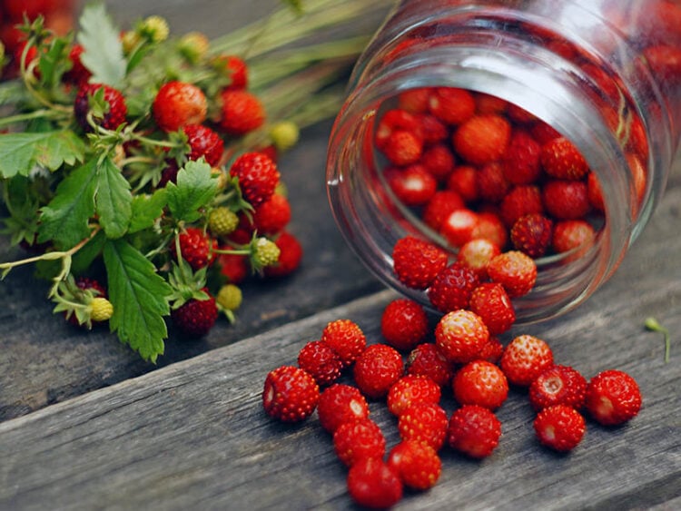17 Common and Rare Fruits That Start With W