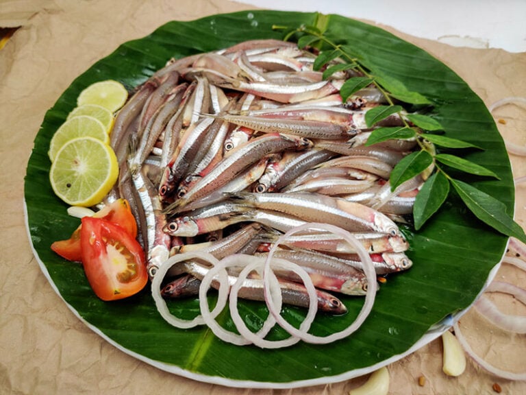 26 Different Types of Fish To Eat: Delicious and Nutritious