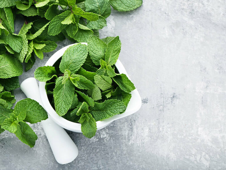 20 Different Types of Garnish for Food and Drinks