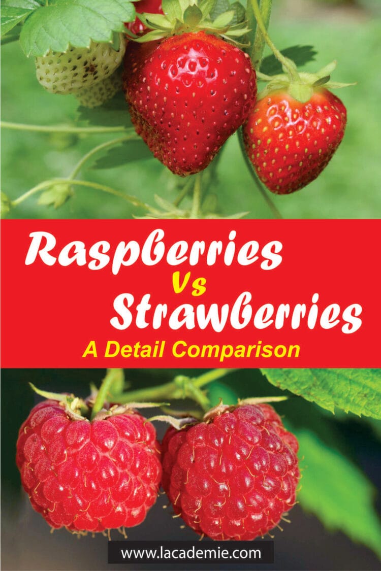 Raspberries vs. Strawberries: Appearance, Flavor, Storage Life