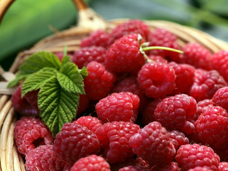Raspberries vs. Strawberries: Appearance, Flavor, Storage Life
