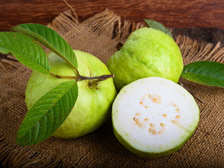 26 Types of Guava: From Common to Rare Tropical Finds