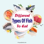 26 Different Types of Fish To Eat: Delicious and Nutritious