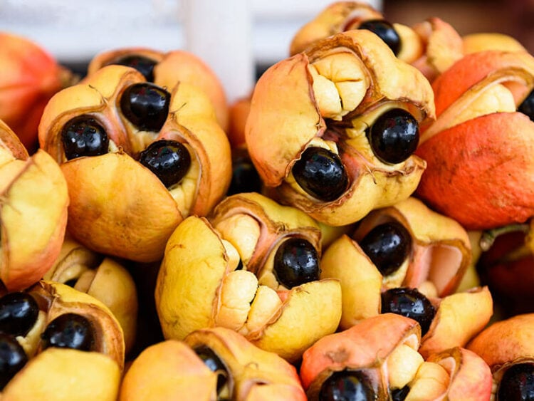 25 Common South African Fruits: Native and Non-native