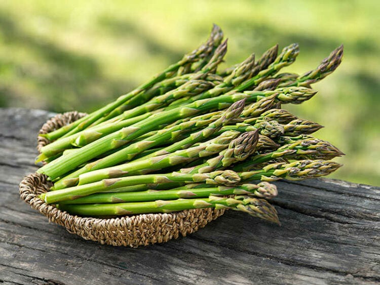 23 Best Spring Vegetables: Taste, Colors, and Usage