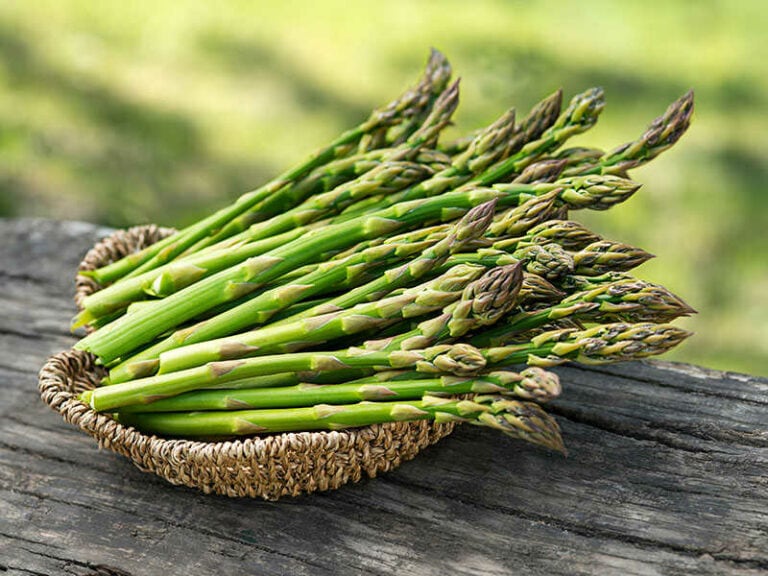 23 Best Spring Vegetables: Taste, Colors, and Usage