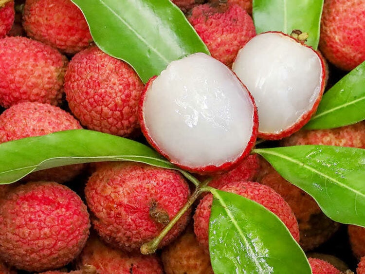 39 Common Asian Fruits: List of Tropical and Other Varieties