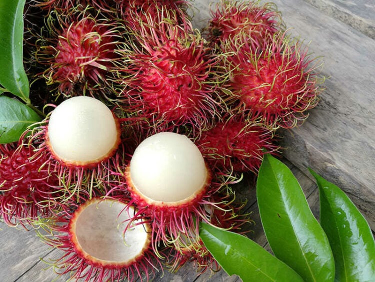 39 Common Asian Fruits: List of Tropical and Other Varieties
