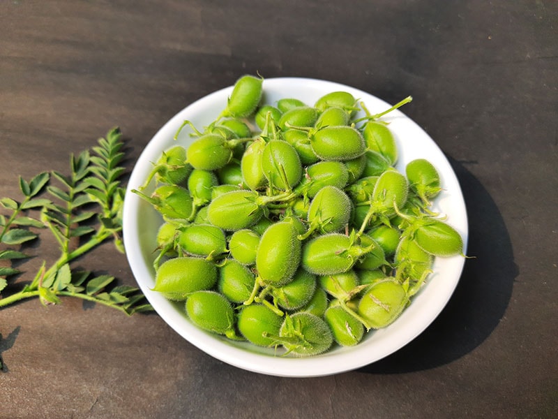 22 Vegetables That Start With G For Main and Side Dishes