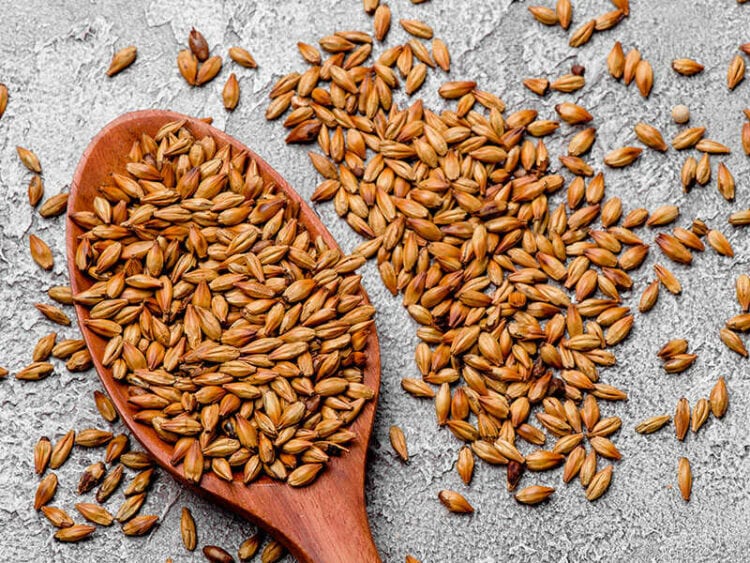 72 Common Foods That Start With M: Sweet and Savory Foods
