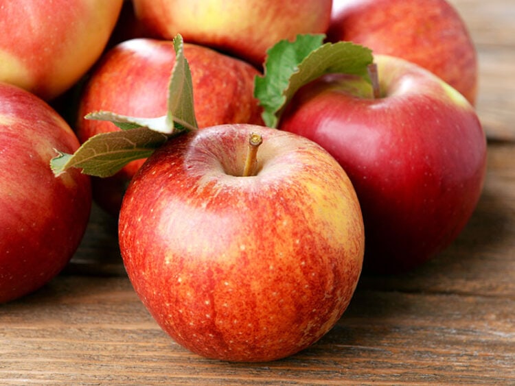 25 Common South African Fruits: Native and Non-native