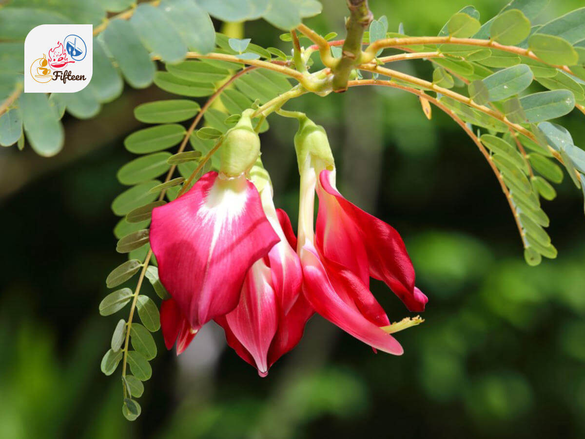 20 Vegetables That Start With A: Complete List for All Choices