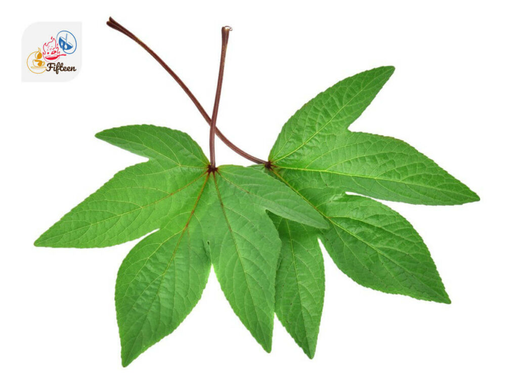 20 Vegetables That Start With A: Complete List for All Choices