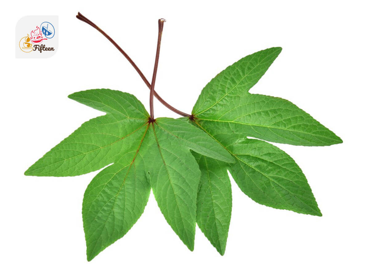 20 Vegetables That Start With A: Complete List for All Choices