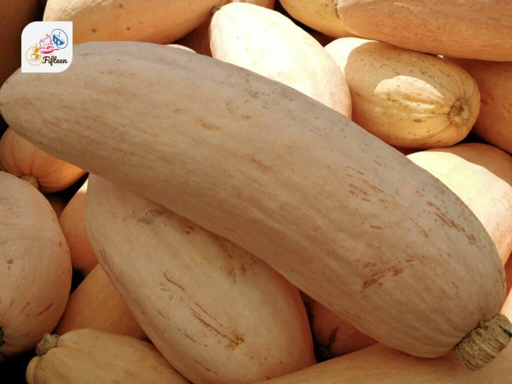 20 Common Vegetables Starting with B From Diverse Types