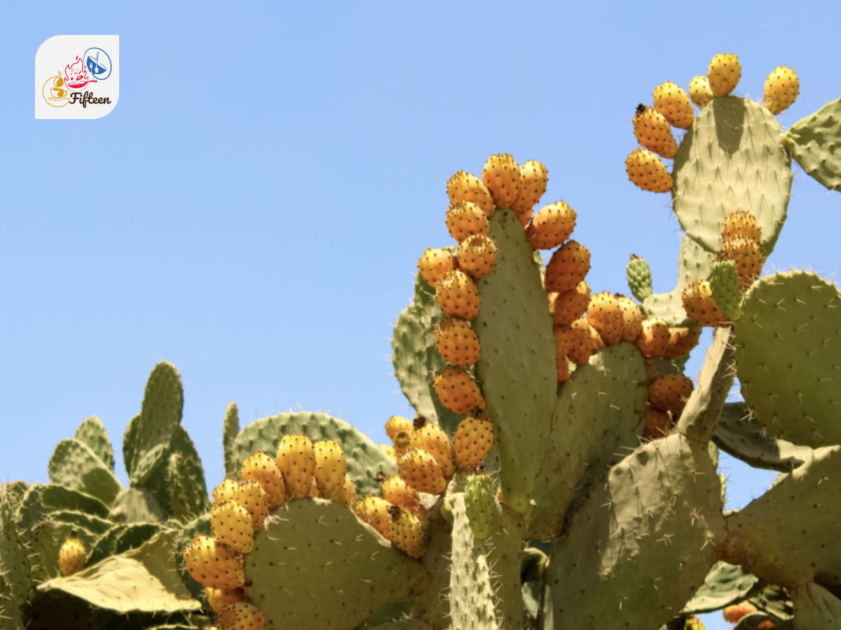 26 Common Vegetables That Start With C Beyond the Greens