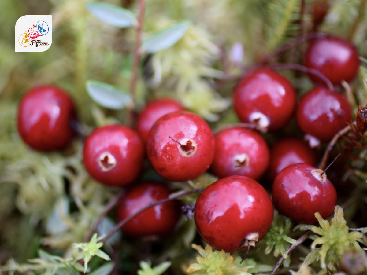 23 Best Winter Fruits: What’s in Season?
