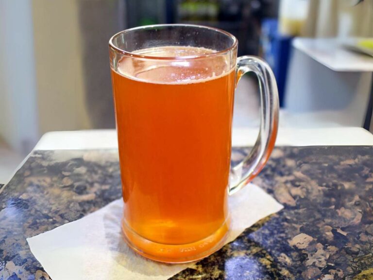 20 Chilean Beverages: Traditional and Popular Refreshments