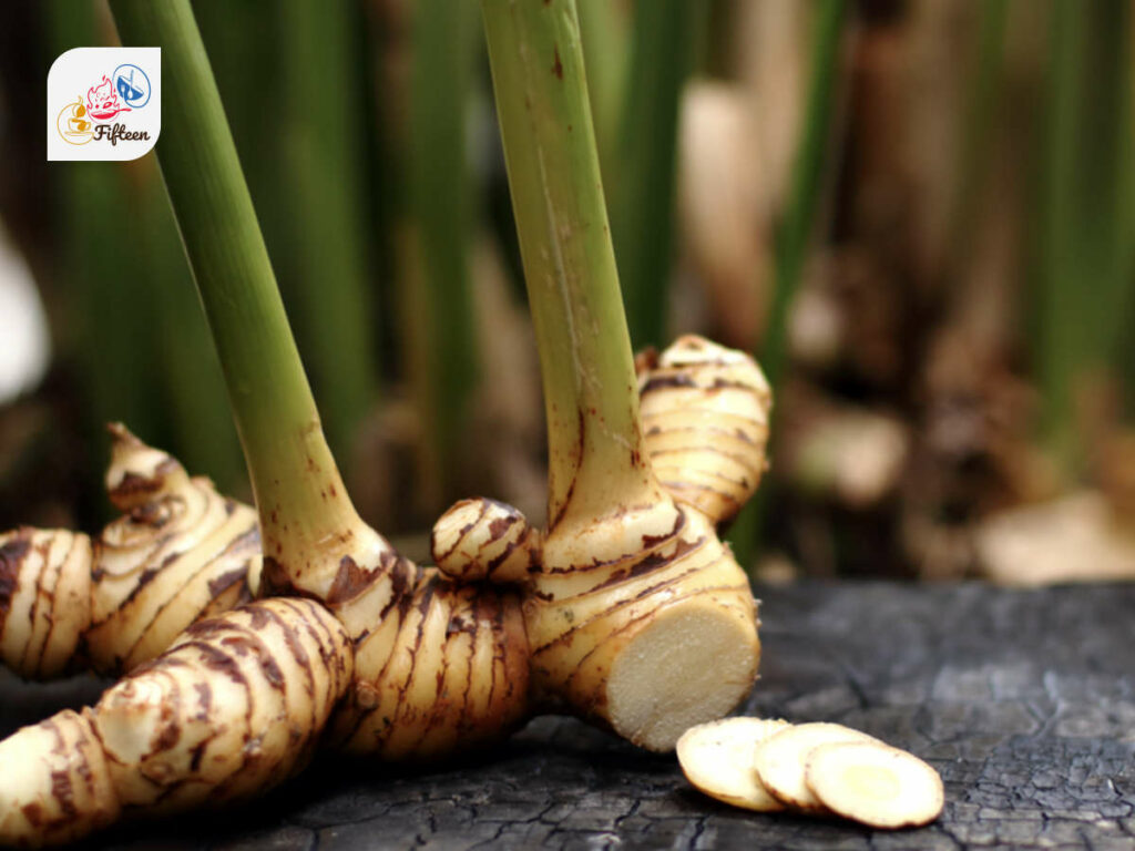 22 Vegetables That Start With G For Main and Side Dishes