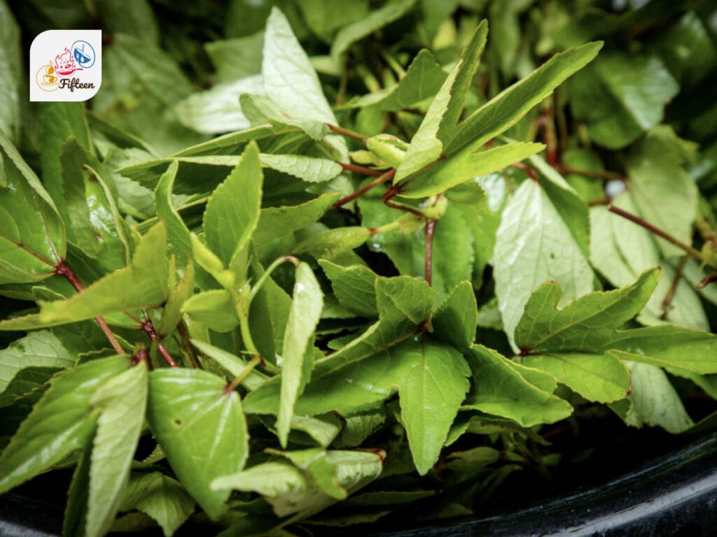 22 Vegetables That Start With G For Main and Side Dishes