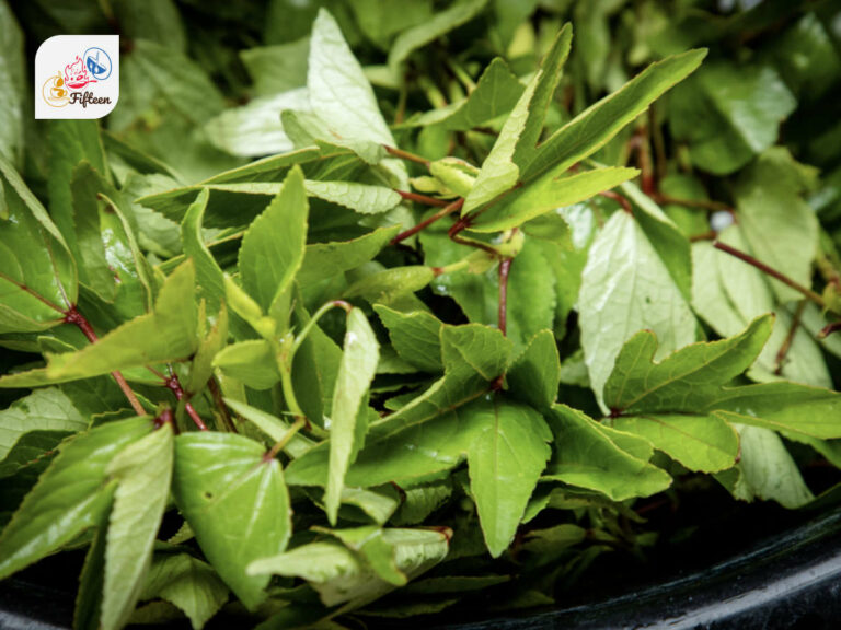 22 Vegetables That Start With G For Main and Side Dishes