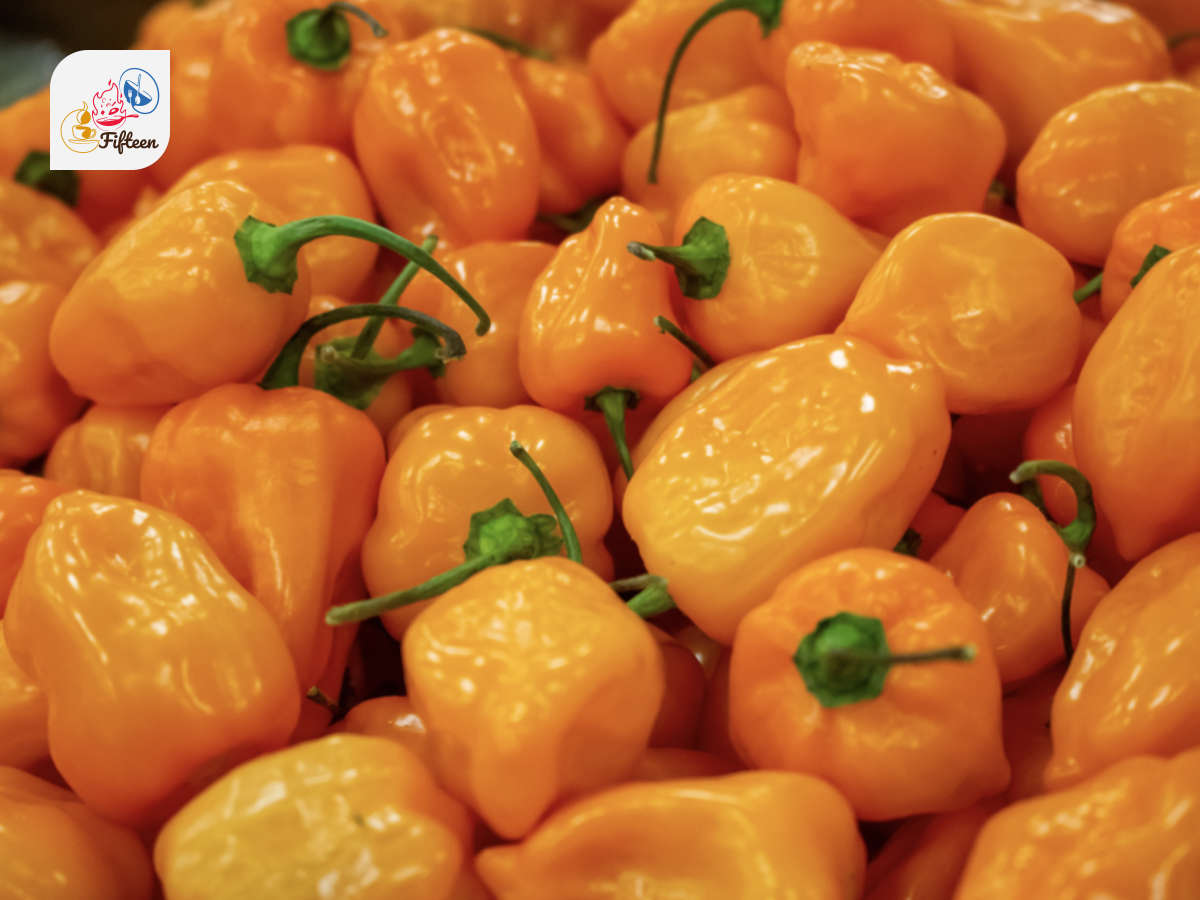 19 Vegetables That Start With H: Common and Exotic Picks