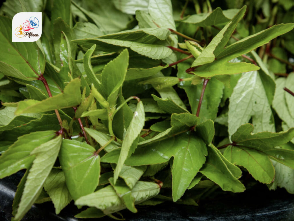 23 Vegetables That Start With P: Beyond Tubers and Greens