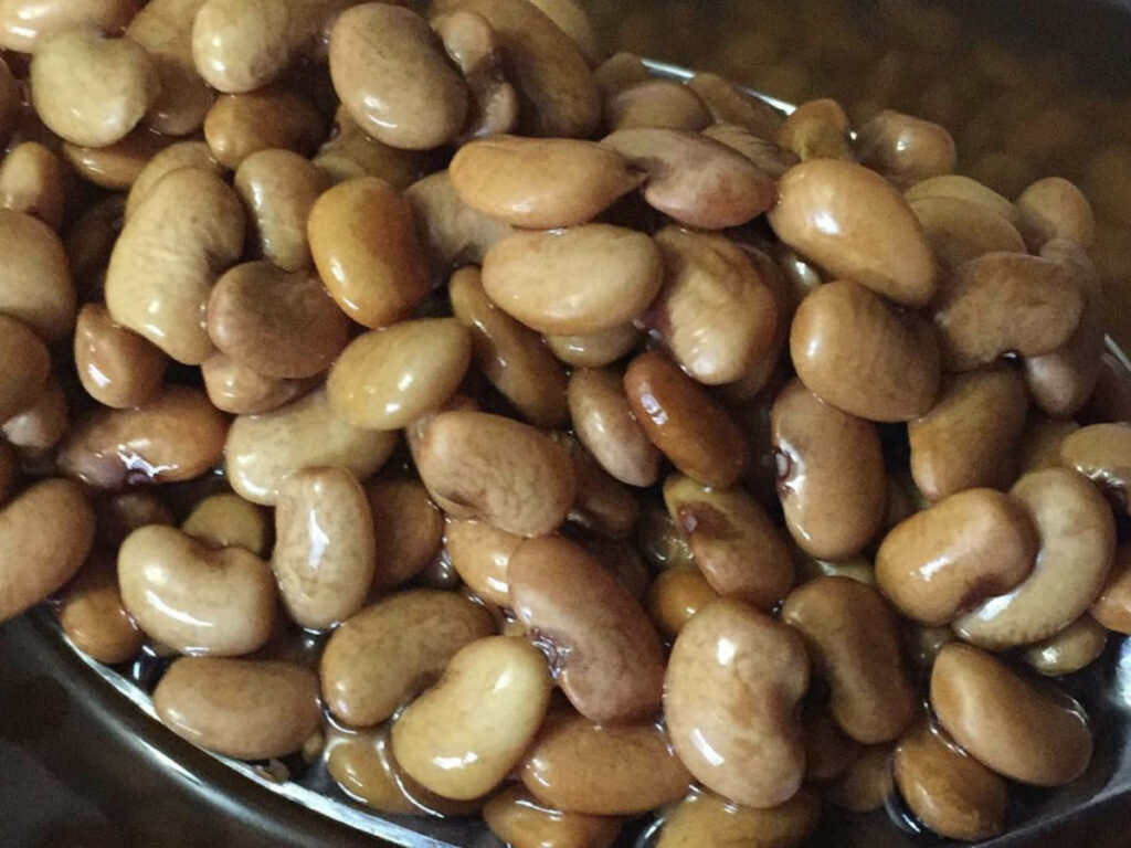 19 Popular Vegetables That Start With T: Native and Well-Loved