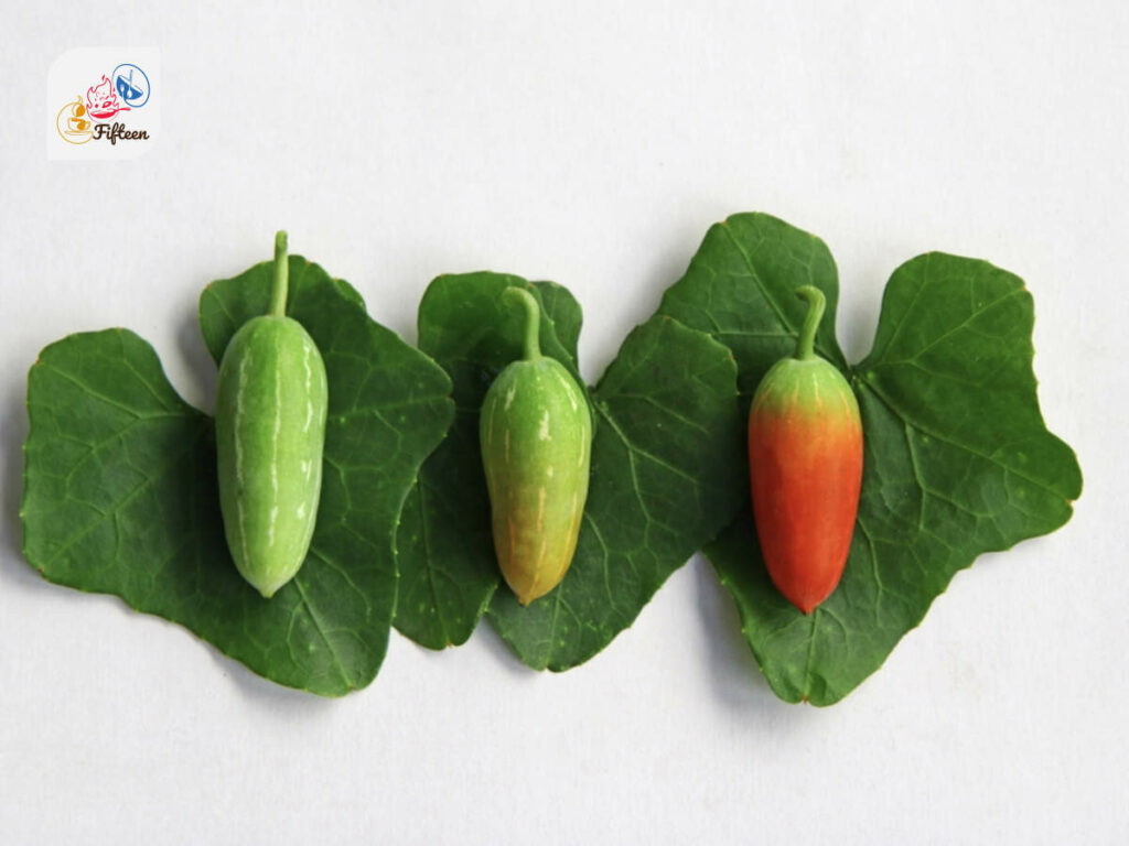 19 Popular Vegetables That Start With T: Native and Well-Loved