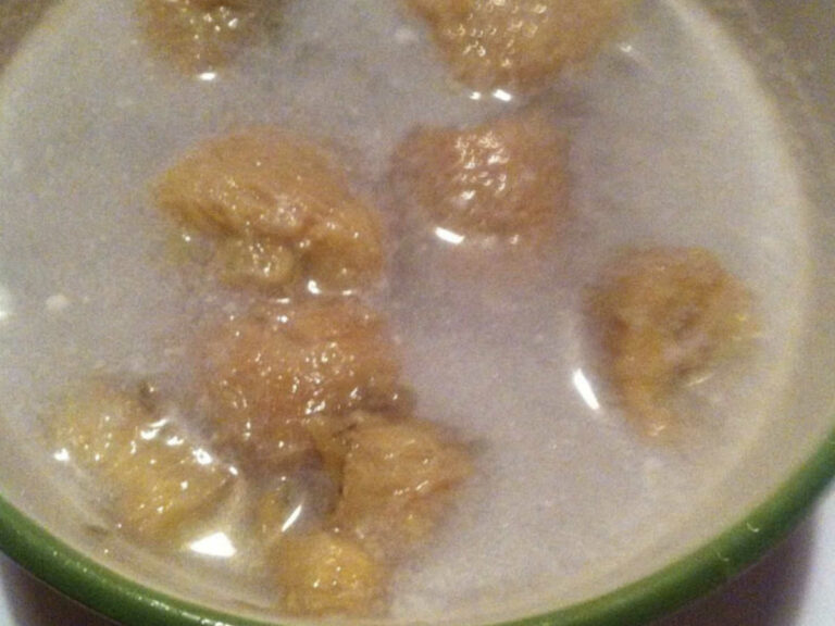 9 Tongan Food Dishes: Traditional and Popular Options