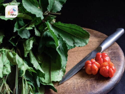 11 Popular Vegetables That Start With U: Native Favorites