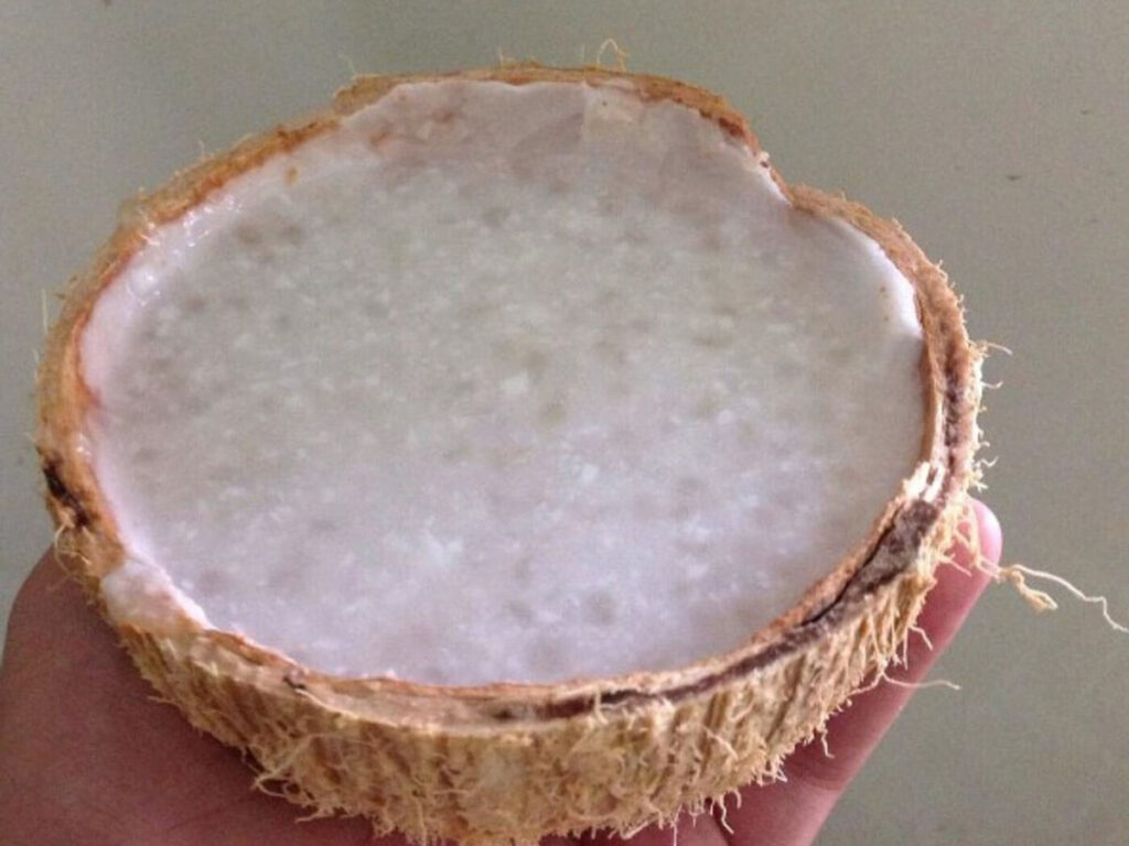 13 Traditional Samoan Dishes and Food Culture