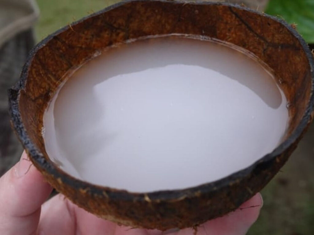 18 Costa Rican Beverages: Traditional and Exotic Favorites