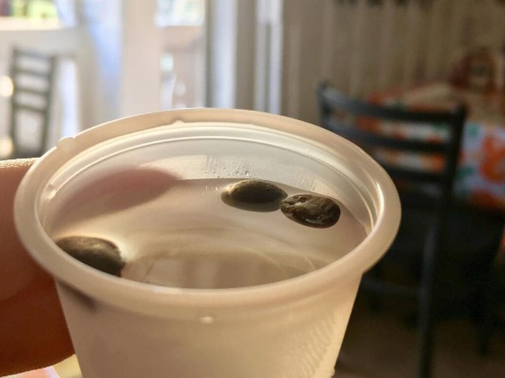 18 Traditional and Popular Puerto Rican Beverages