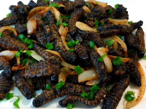 15 Zambian Food Dishes with Traditional and Popular Options