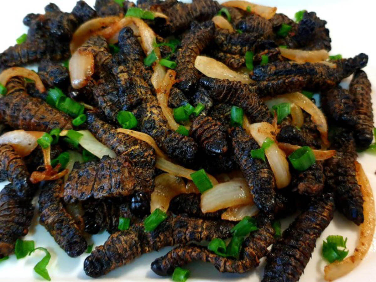 15 Zambian Food Dishes with Traditional and Popular Options