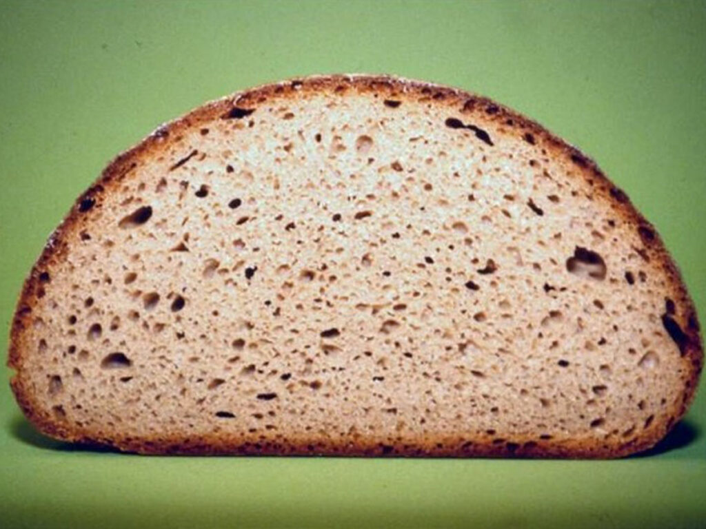 22 Popular Latvian Dishes and National Food